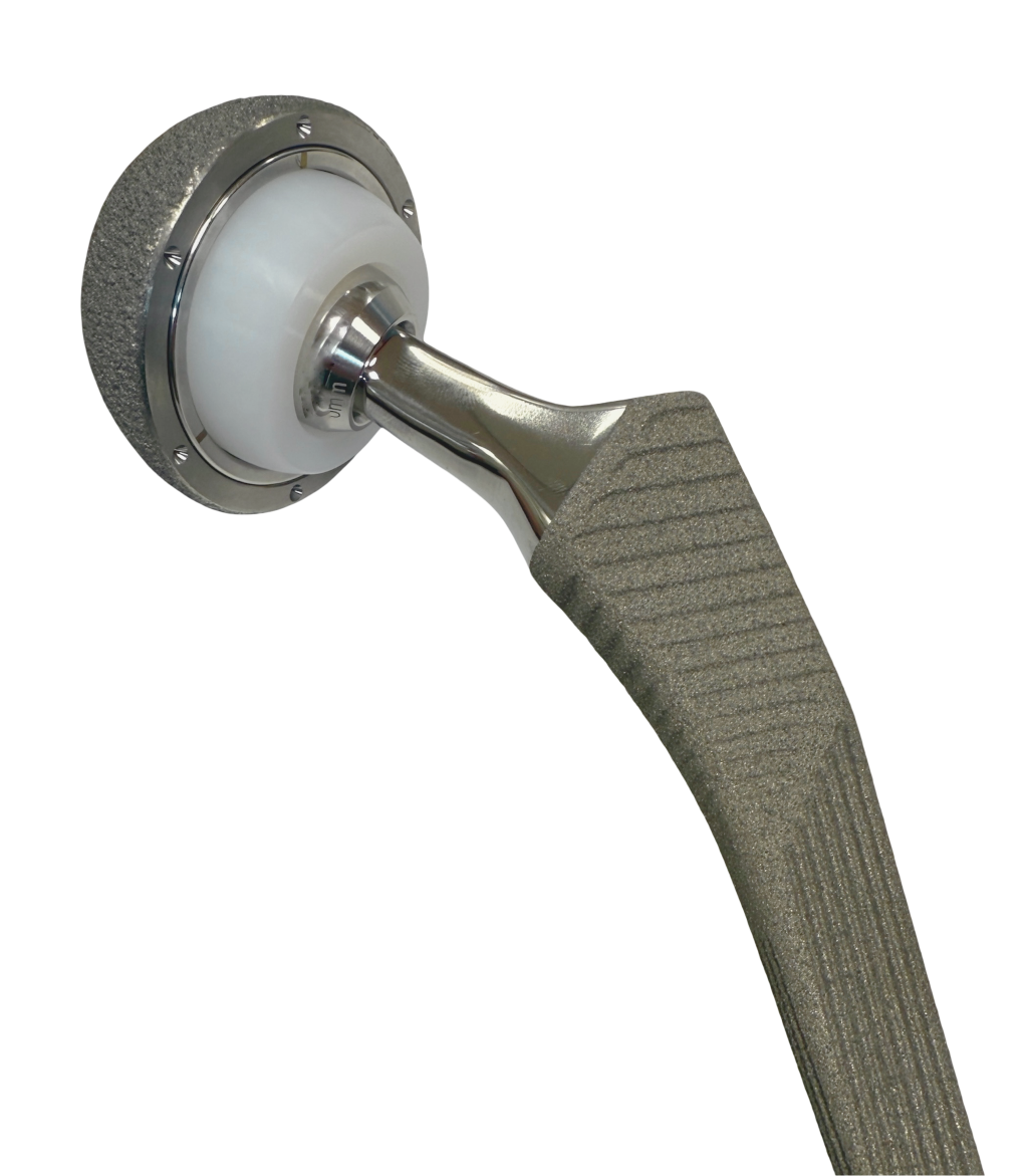 Cadera – CDH PROTESIS E IMPLANTES
